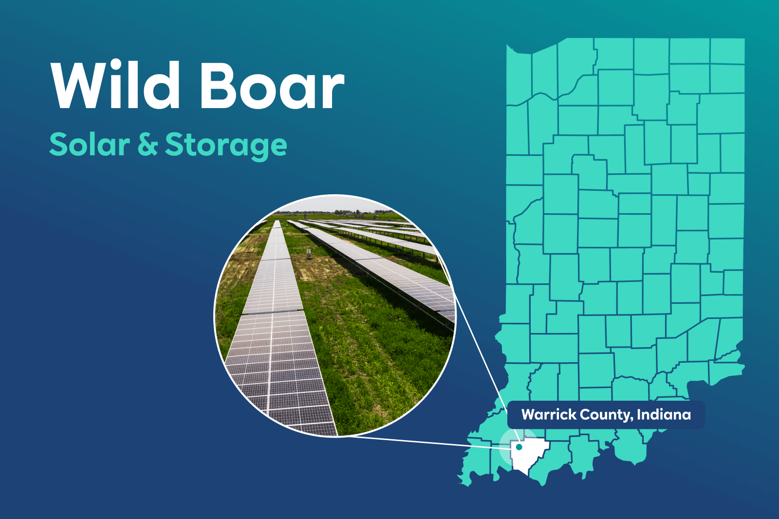 Sunflower Projects | RWE In The Americas