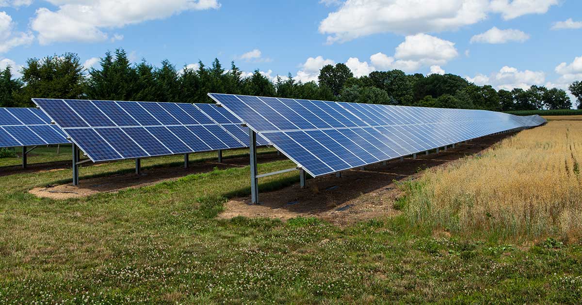 Bakers Pond Solar Farm | RWE in America