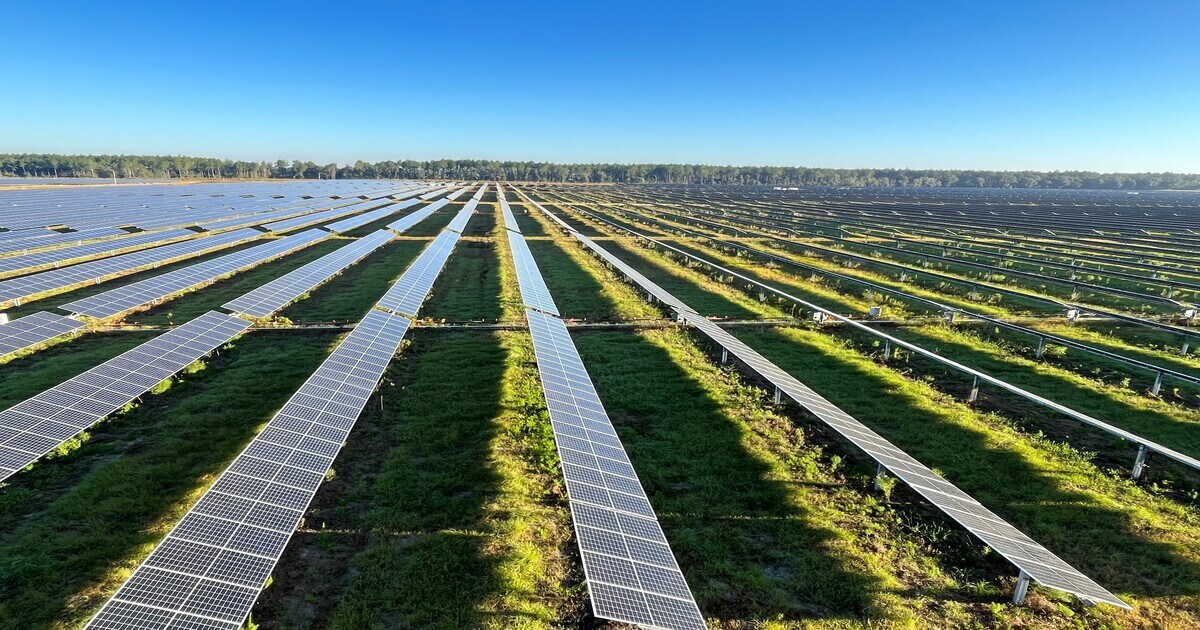 Maryland Blue Crab Solar & Storage | RWE in the Americas